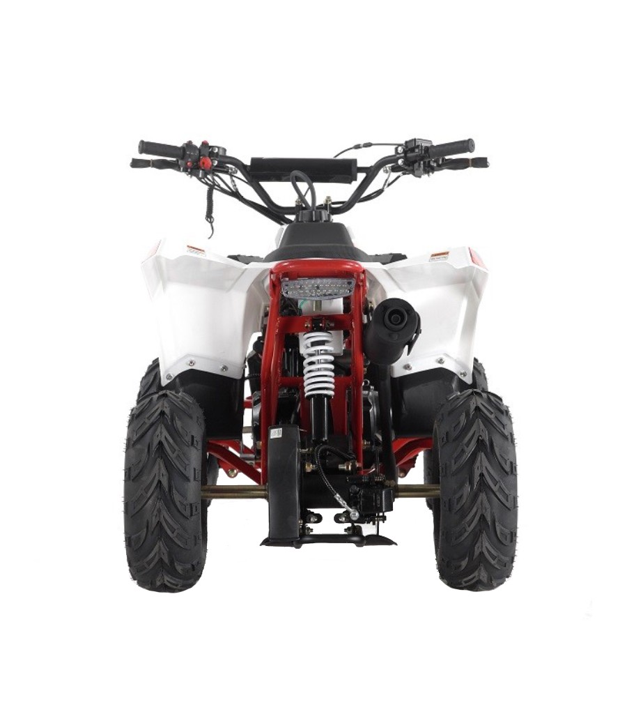 Mini Quad per bambini Apollo Mini Commander 110cc su Compatto Motors