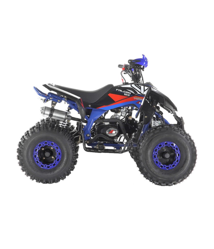 Apollo Quad Falcon 125cc ad un prezzo imbattibile su Compatto Motors