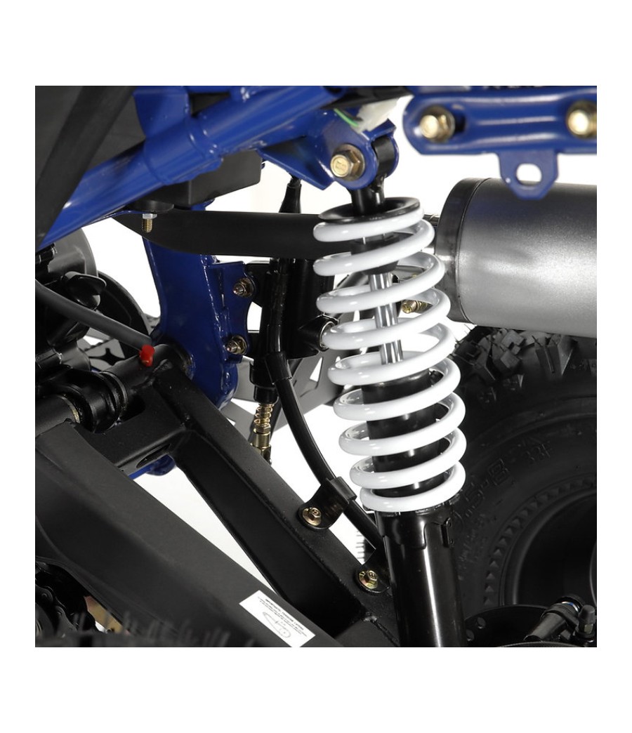 Apollo Quad Falcon 125cc ad un prezzo imbattibile su Compatto Motors