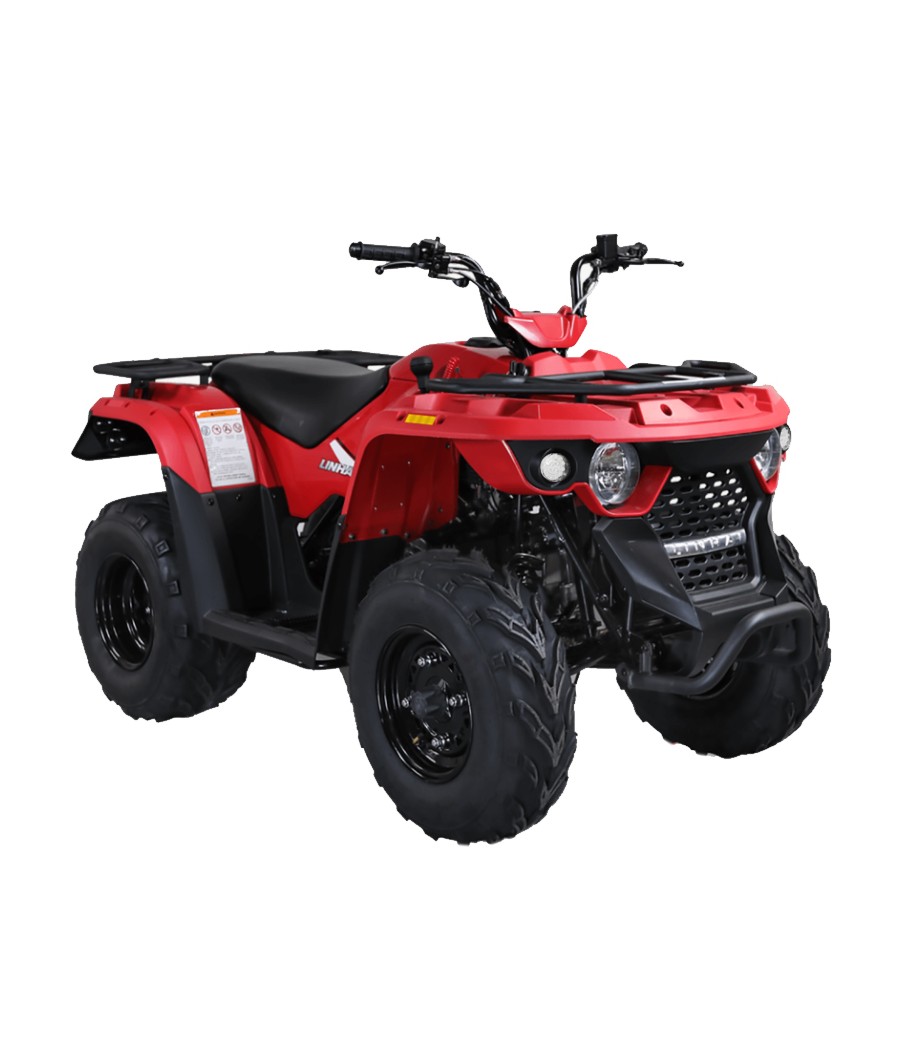 Quad Utility Linhai M150 ideale per lavori gravosi e per fuoristrada