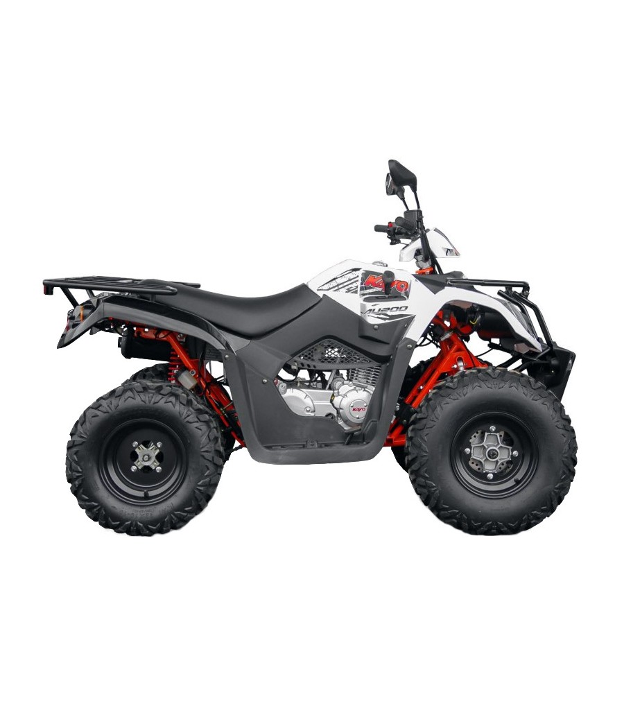 Scopri Quad Kayo AU200 omologato su Compatto Motors rivenditore Kayo