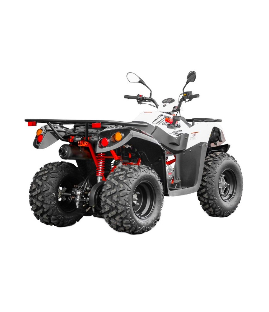 Scopri Quad Kayo AU200 omologato su Compatto Motors rivenditore Kayo